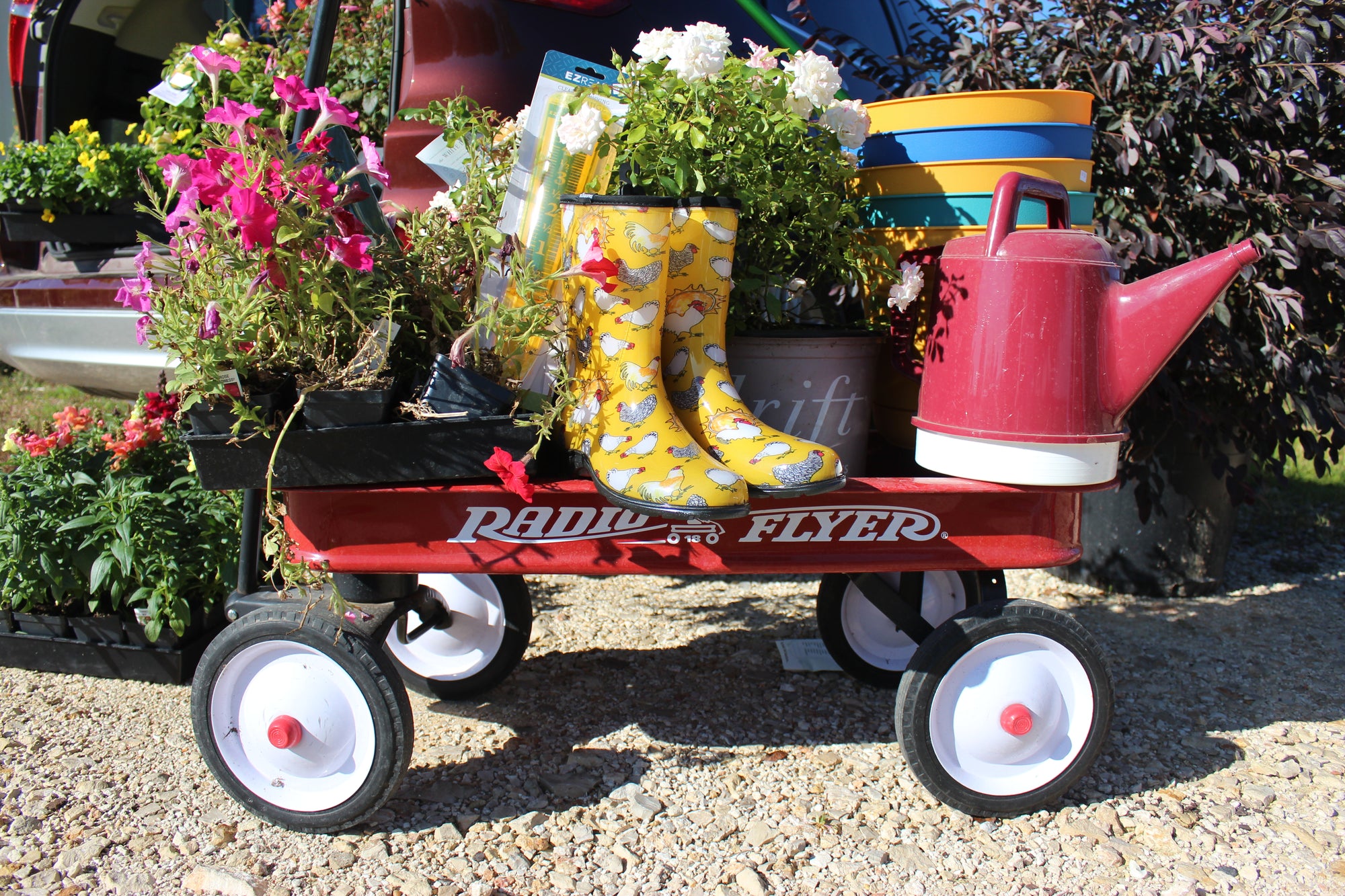 Texas Gardener